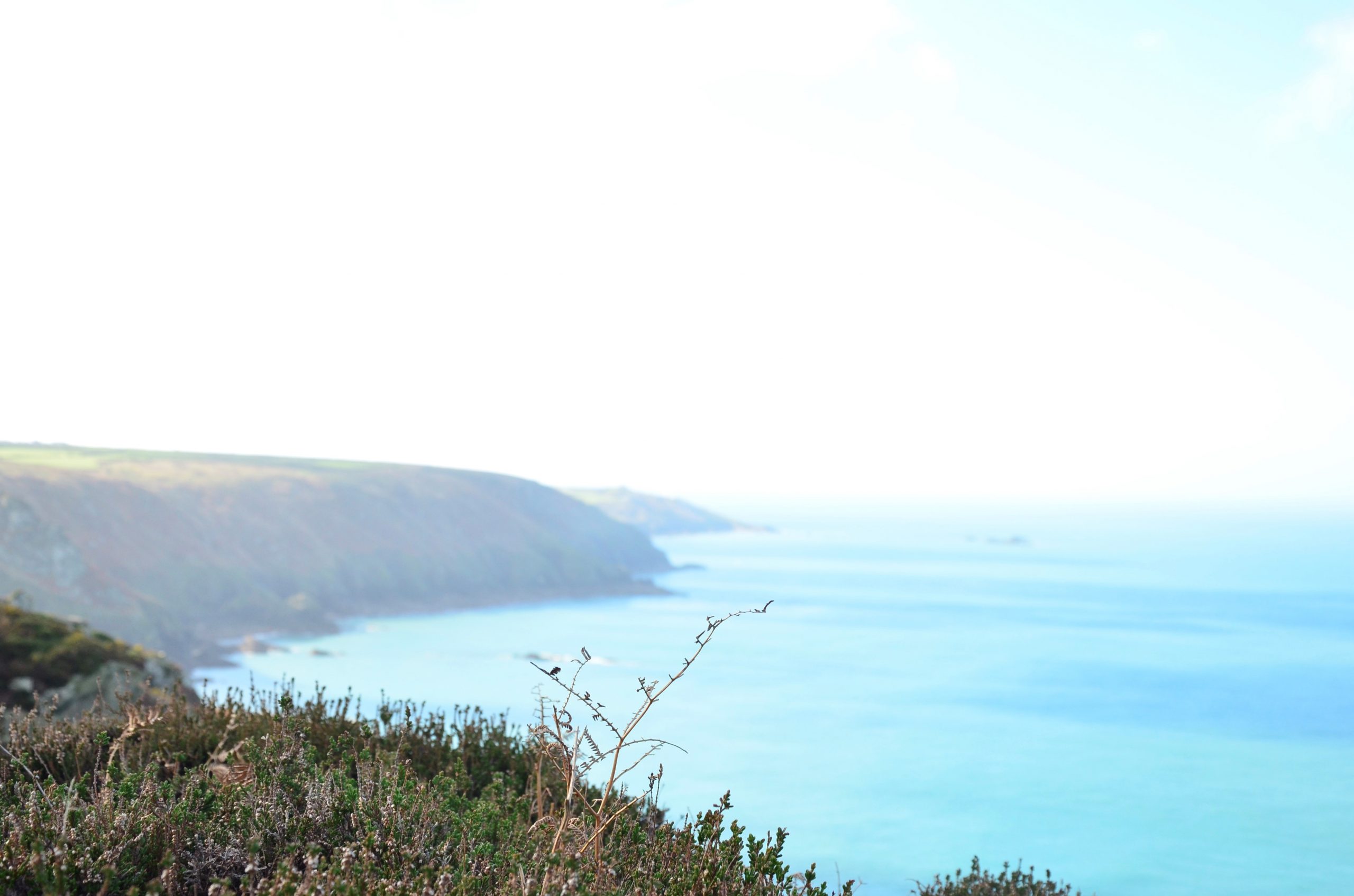 Home - Celtic Sea Power