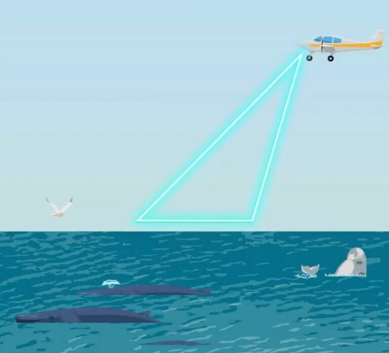 Airborne LiDAR survey for the UK Celtic Sea area - Celtic Sea Power